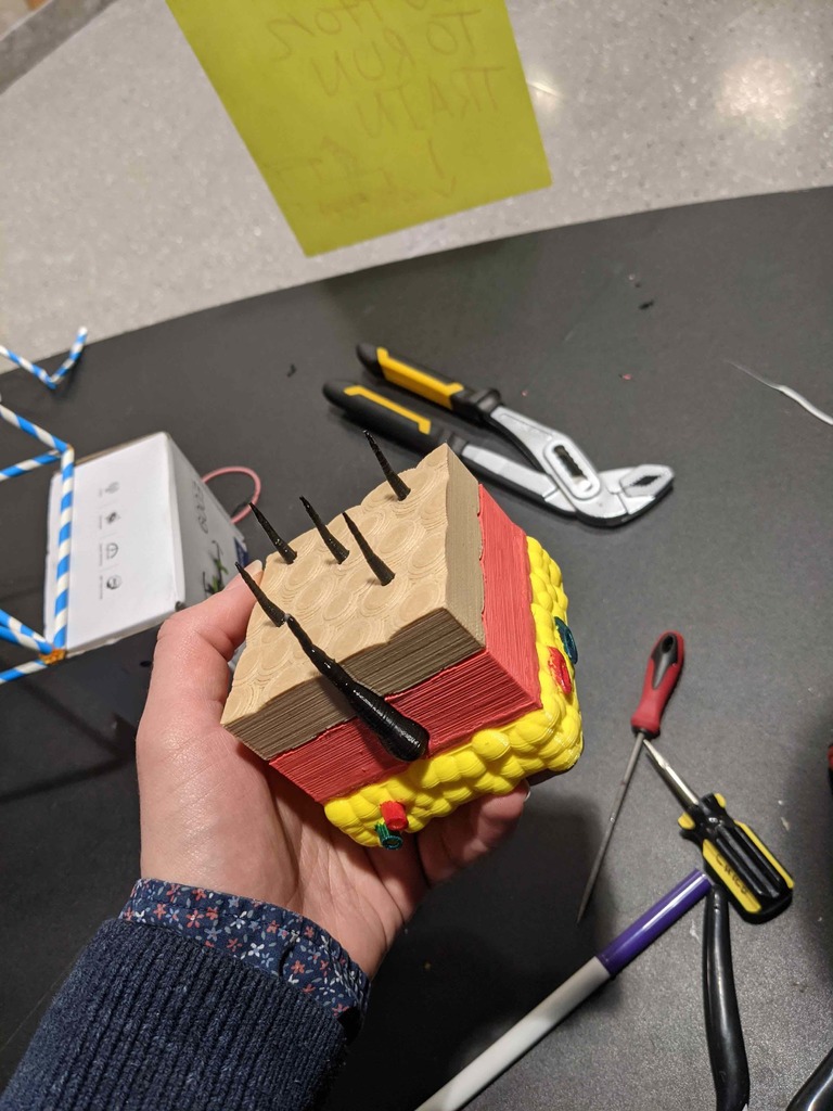 Skin Layer Model by Riley CLZ Tech Studio | Download free STL model ...