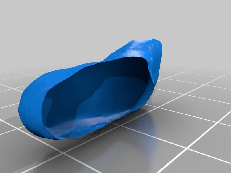 3D scan of a foot by MTB3D | Download free STL model | Printables.com