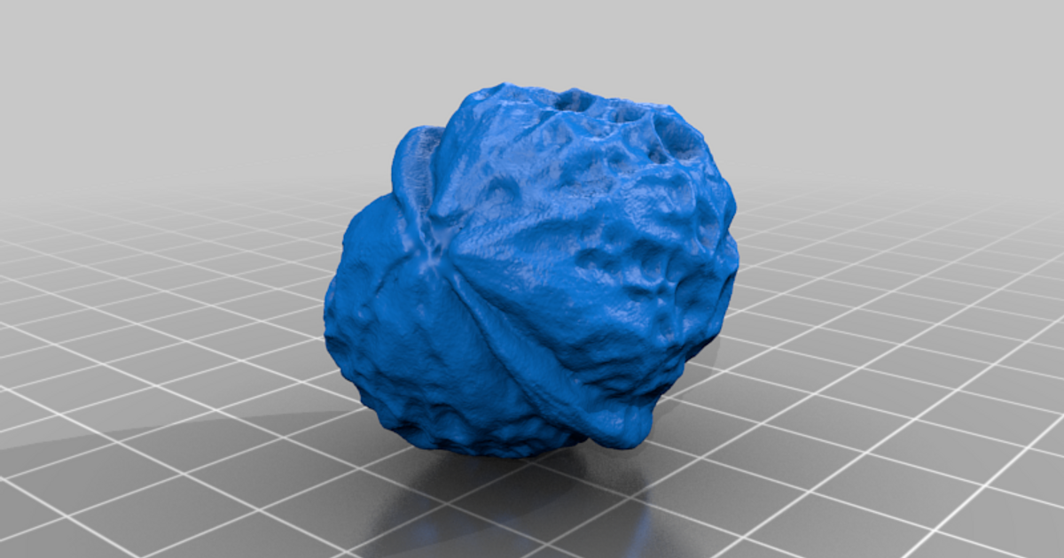 Walnut（scanned by Revopoint MINI） by PLAprinter | Download free STL ...
