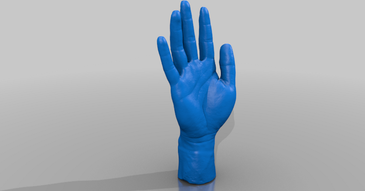 Hand Model（scanned by Revopoint MINI） by PLAprinter | Download free STL ...