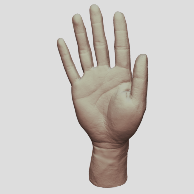 Hand Model（scanned by Revopoint MINI） by PLAprinter | Download free STL ...