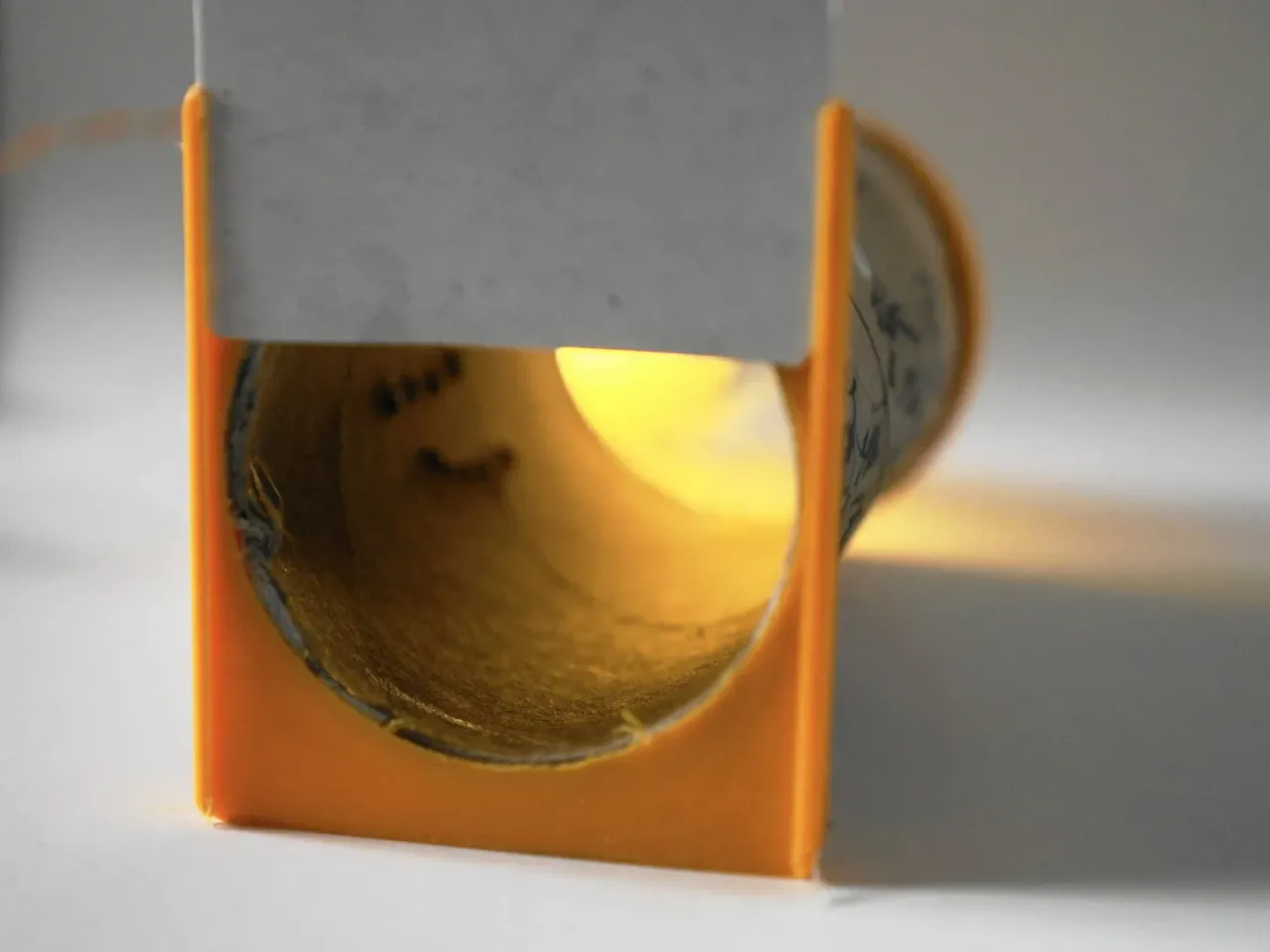 Insect catch & release container by Jack | Download free STL model ...