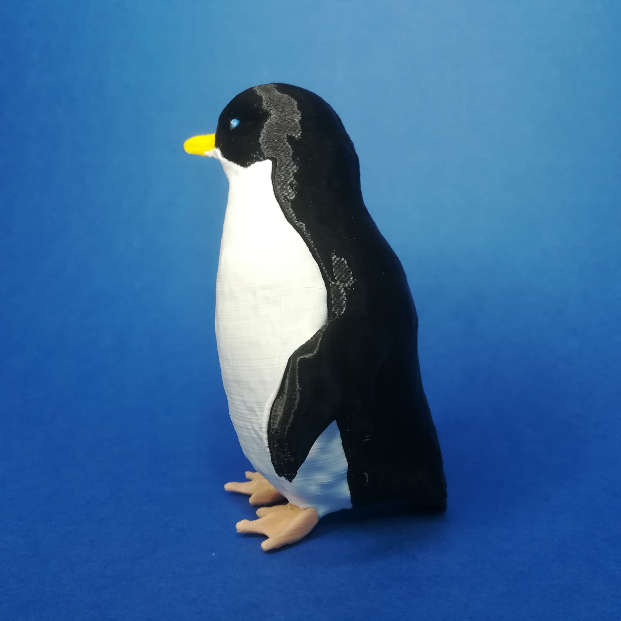 Little Blue Penguin 3D scan by Third Dimension | Download free STL ...