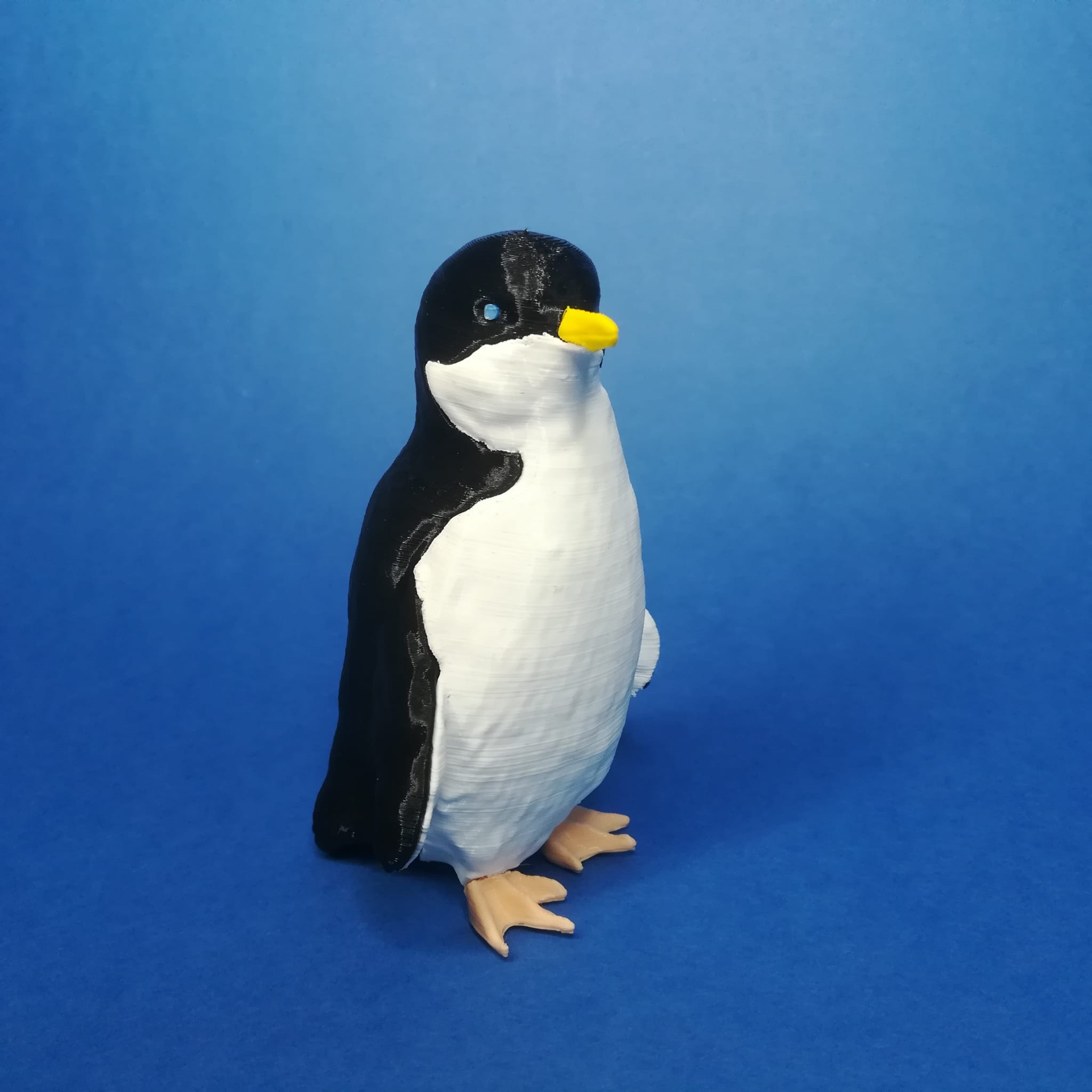 Little Blue Penguin 3D scan by Third Dimension | Download free STL ...