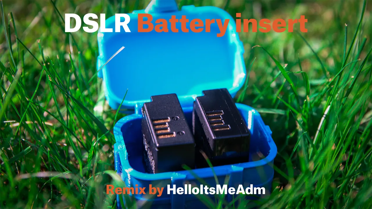 Multi-Use Case DSLR battery insert by HelloItsMeAdm | Download free STL ...