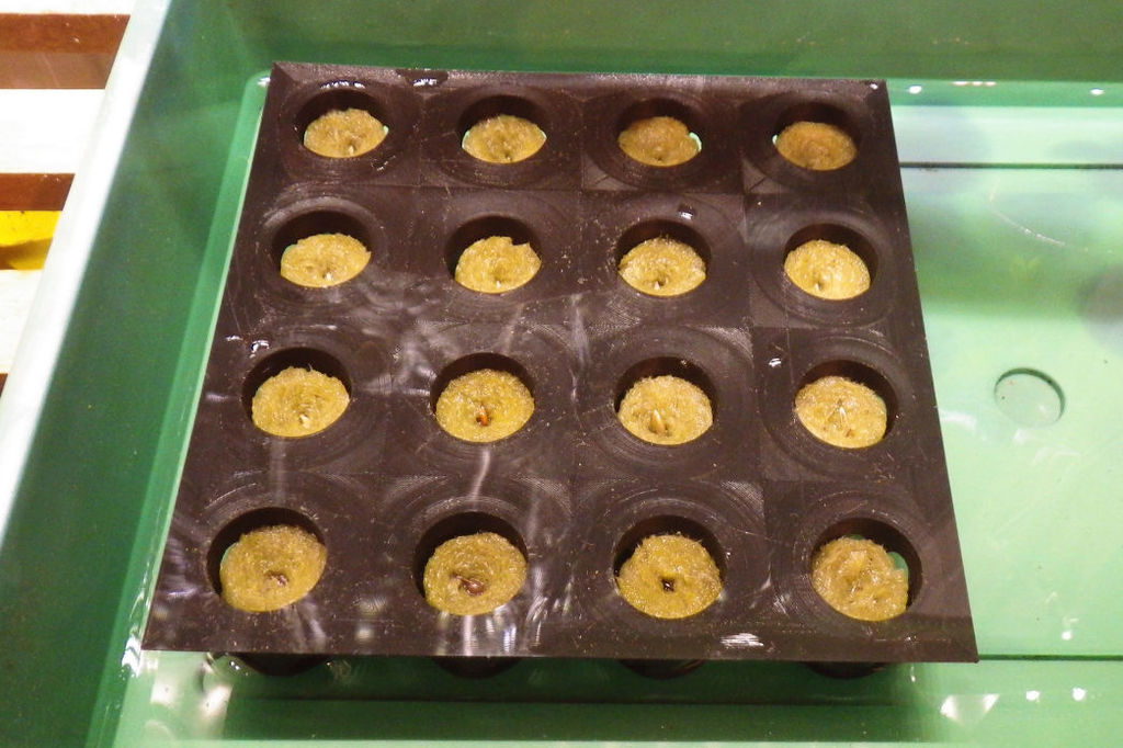 Plant tray for IKEA VÄXA rooting cubes by uwezi | Download free STL ...