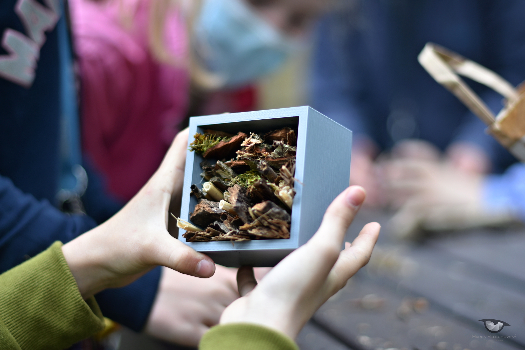 Insect house by Marek Velechovský | Education | Printables.com