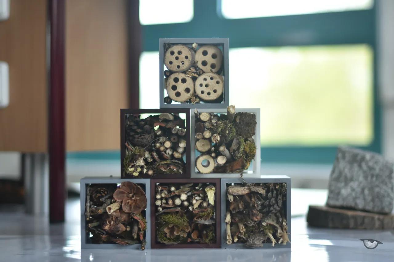 Insect house by Marek Velechovský | Education | Printables.com