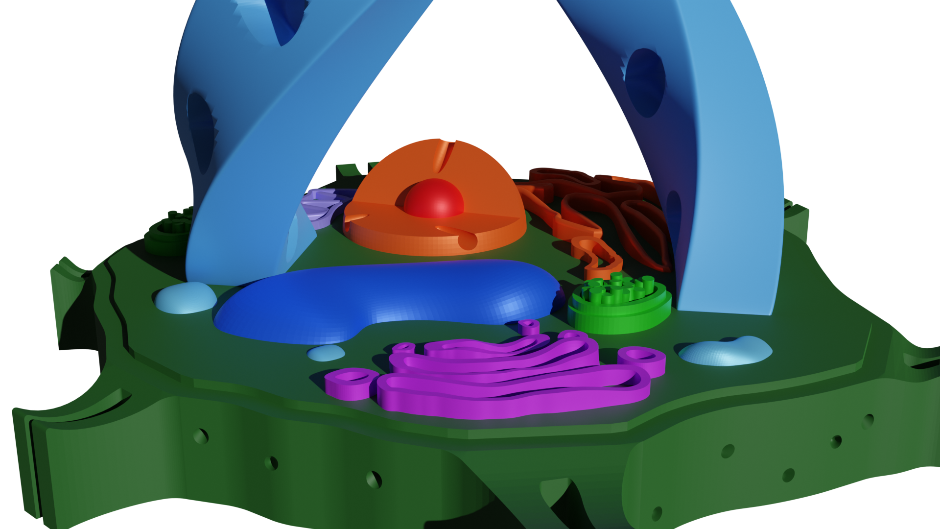 DNA pen holder with plant cell by Phrixo | Download free STL model ...