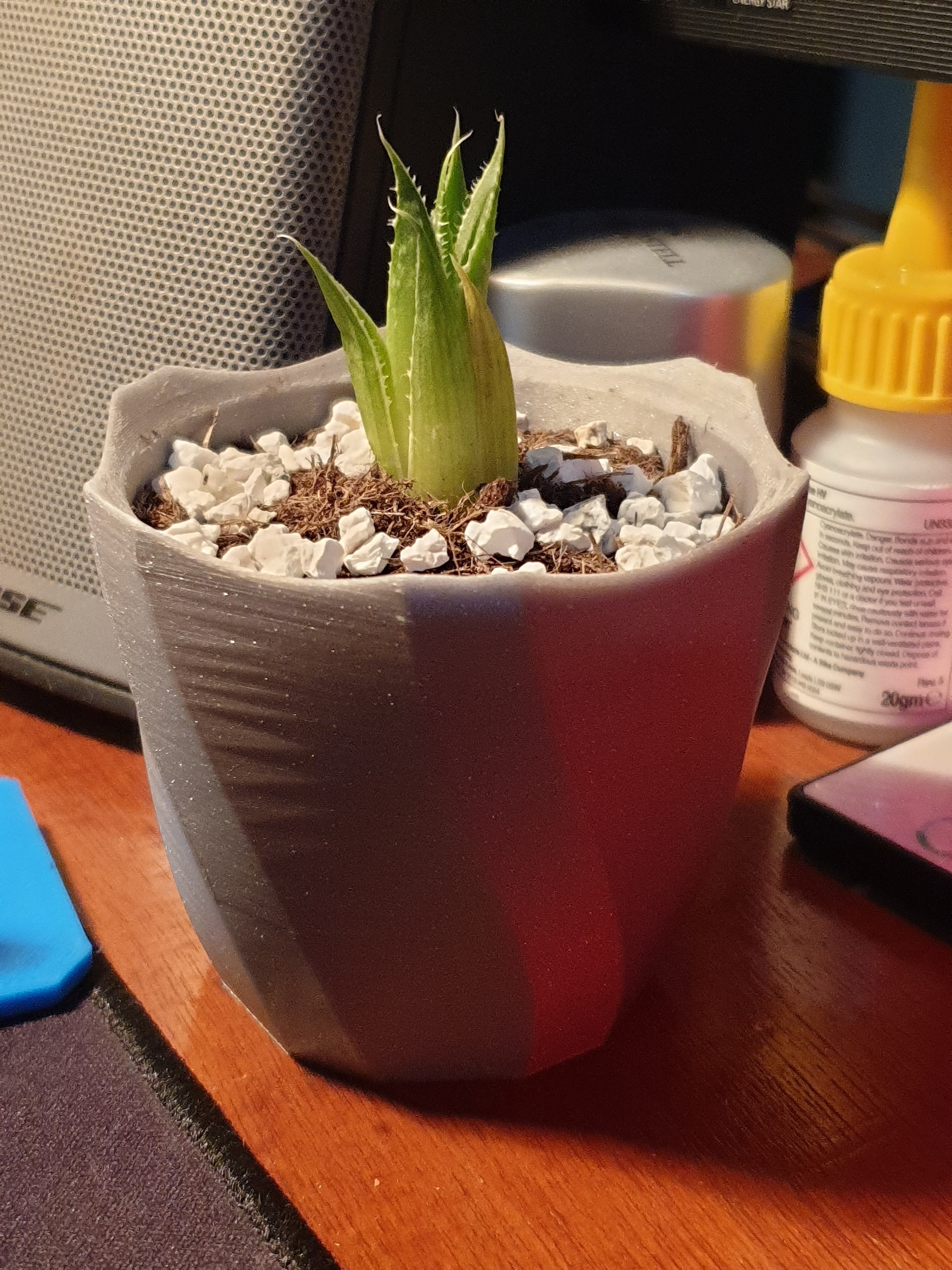 Small Plant Pot by Dom | Download free STL model | Printables.com