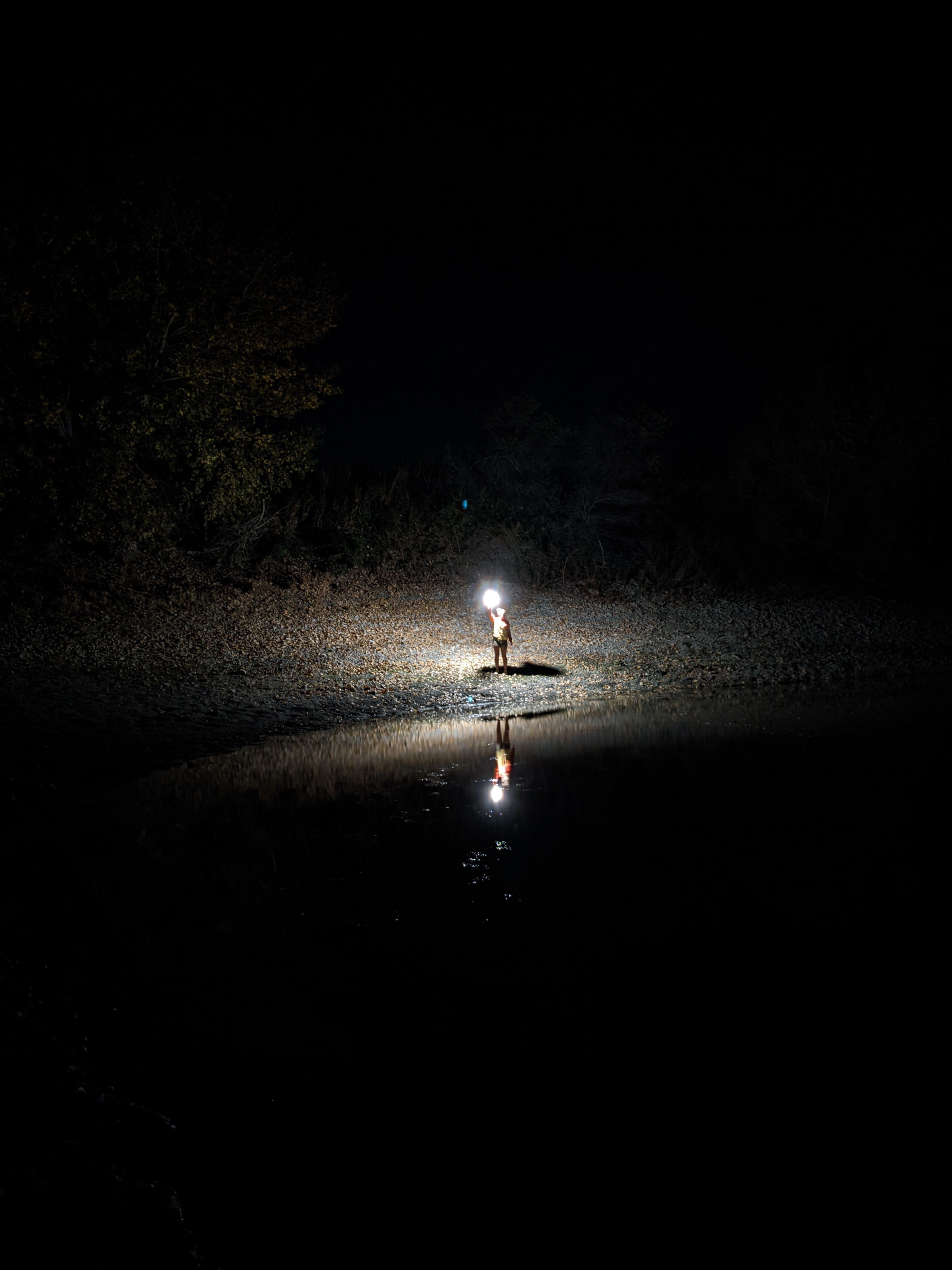 Emisar D18 & Noctigon M44 Meteor Flashlight Diffuser by Spicy3d ...