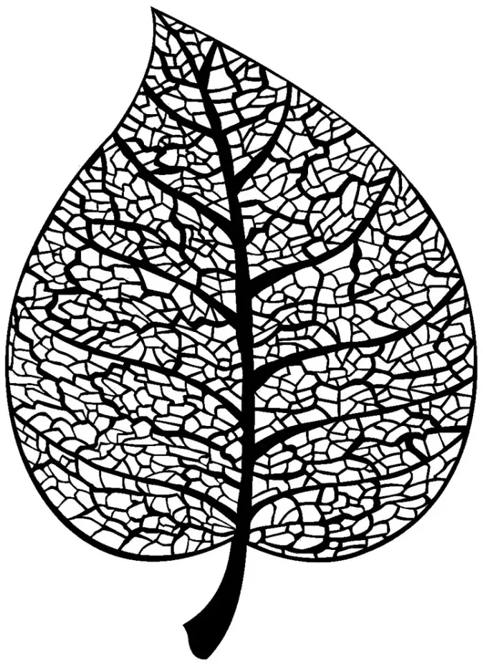 Leaf skeleton by Gael Lafond | Download free STL model | Printables.com