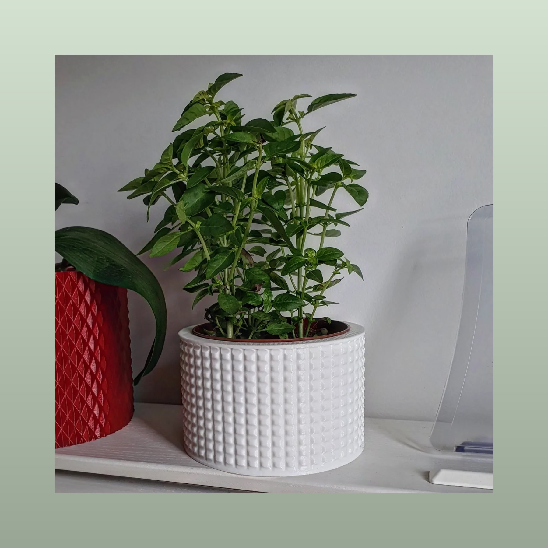 Vase Pot Planter Cachepot 2 by jajaum3d | Download free STL model ...