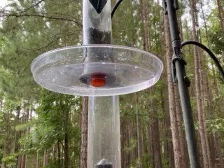 Bolt to attach tray to Droll Yankee Bird Feeder. 1/2" NPT. by NC10 ...