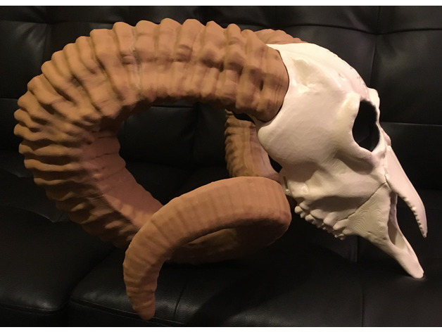 Ram Skull Mask by MajorOCD | Download free STL model | Printables.com