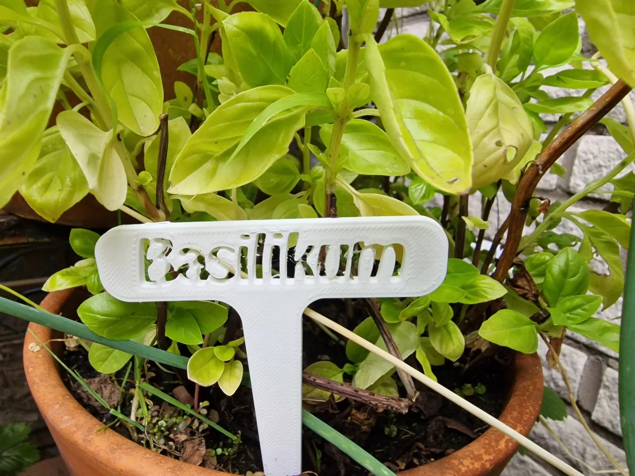 Basilikum by Locu | Download free STL model | Printables.com