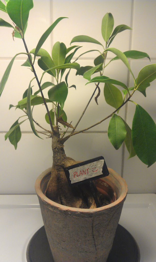 Plant tag by PolygonPusher | Download free STL model | Printables.com