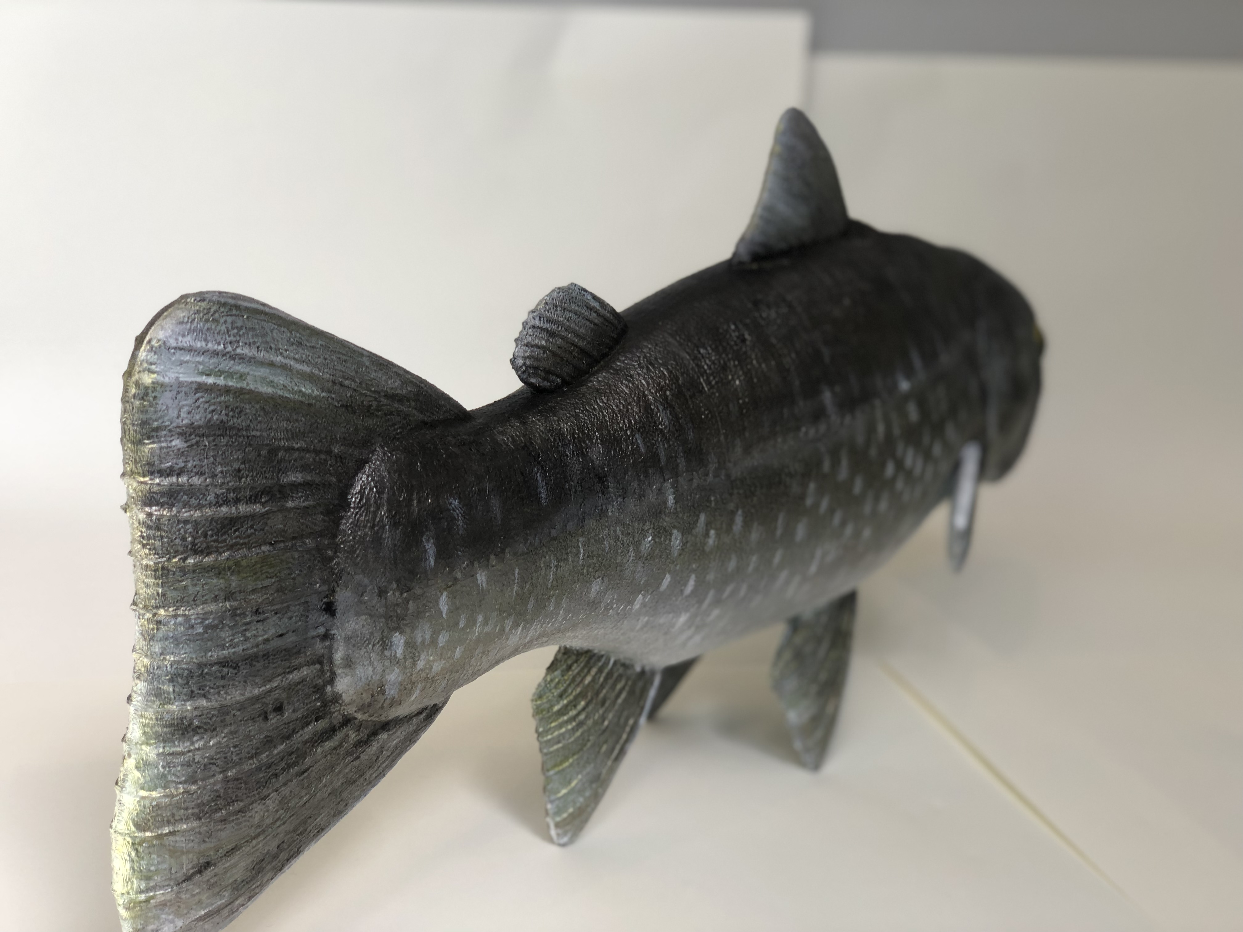 Bull Trout Replica by DragonArtist15 | Download free STL model ...