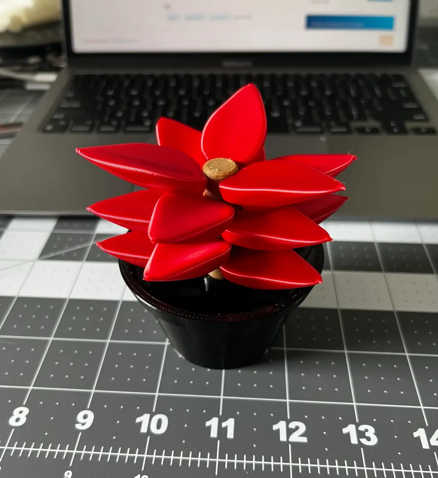 Succulent Plant by Joepoehlmann | Download free STL model | Printables.com