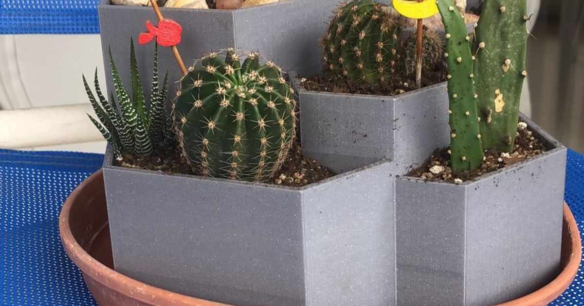 Cactus Pot by Dr_Lipo | Download free STL model | Printables.com