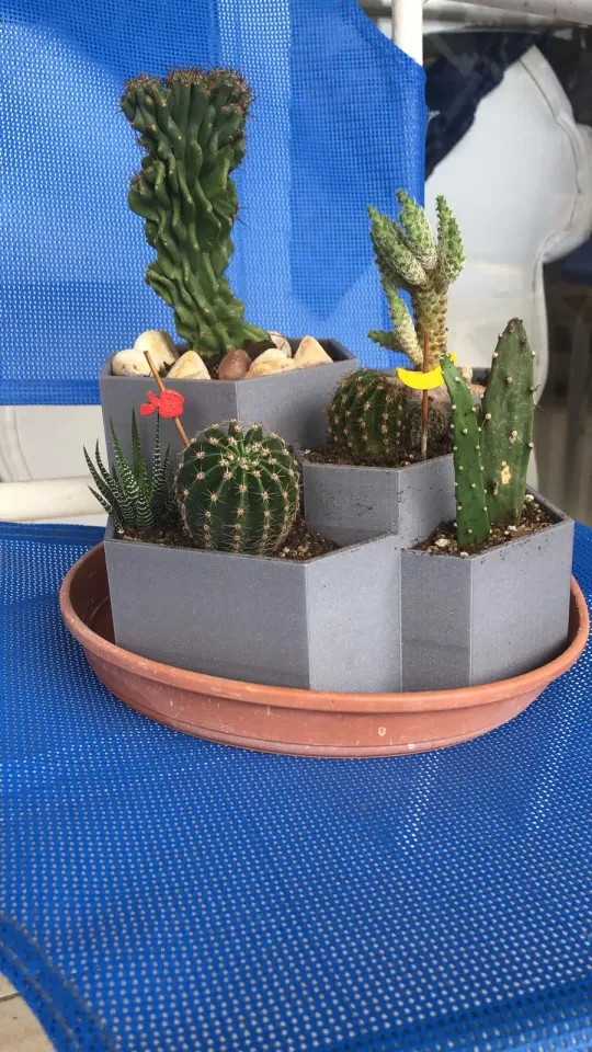 Cactus Pot by Dr_Lipo | Download free STL model | Printables.com