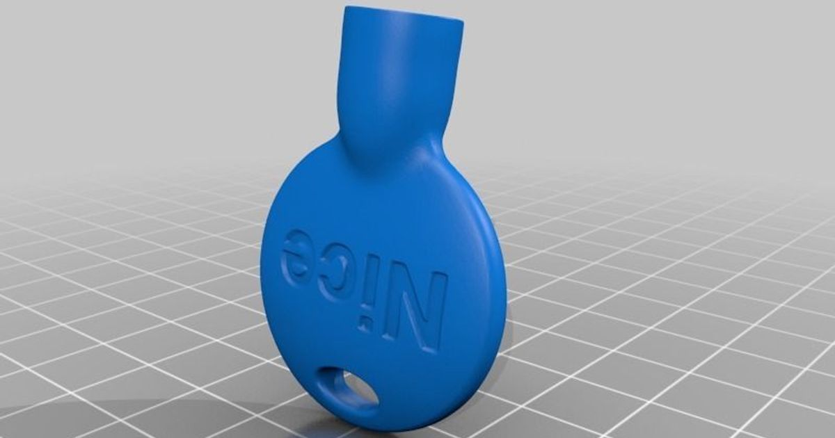 NICE GATE KEY by Kadluna | Download free STL model | Printables.com