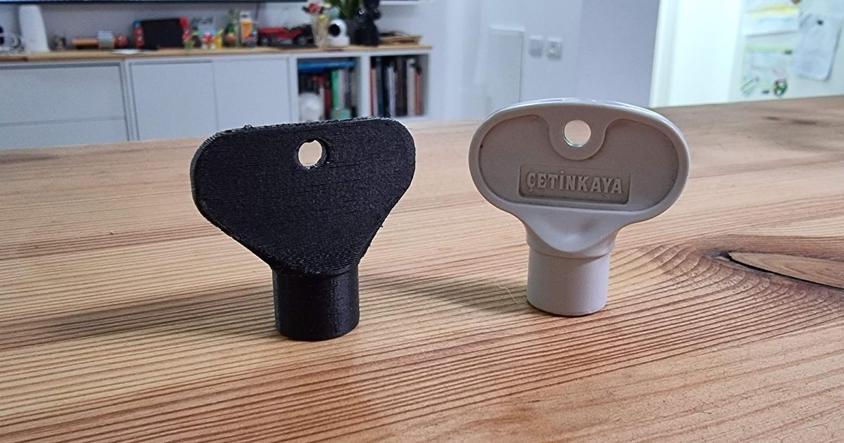 Service cabinet key by Ishai | Download free STL model | Printables.com