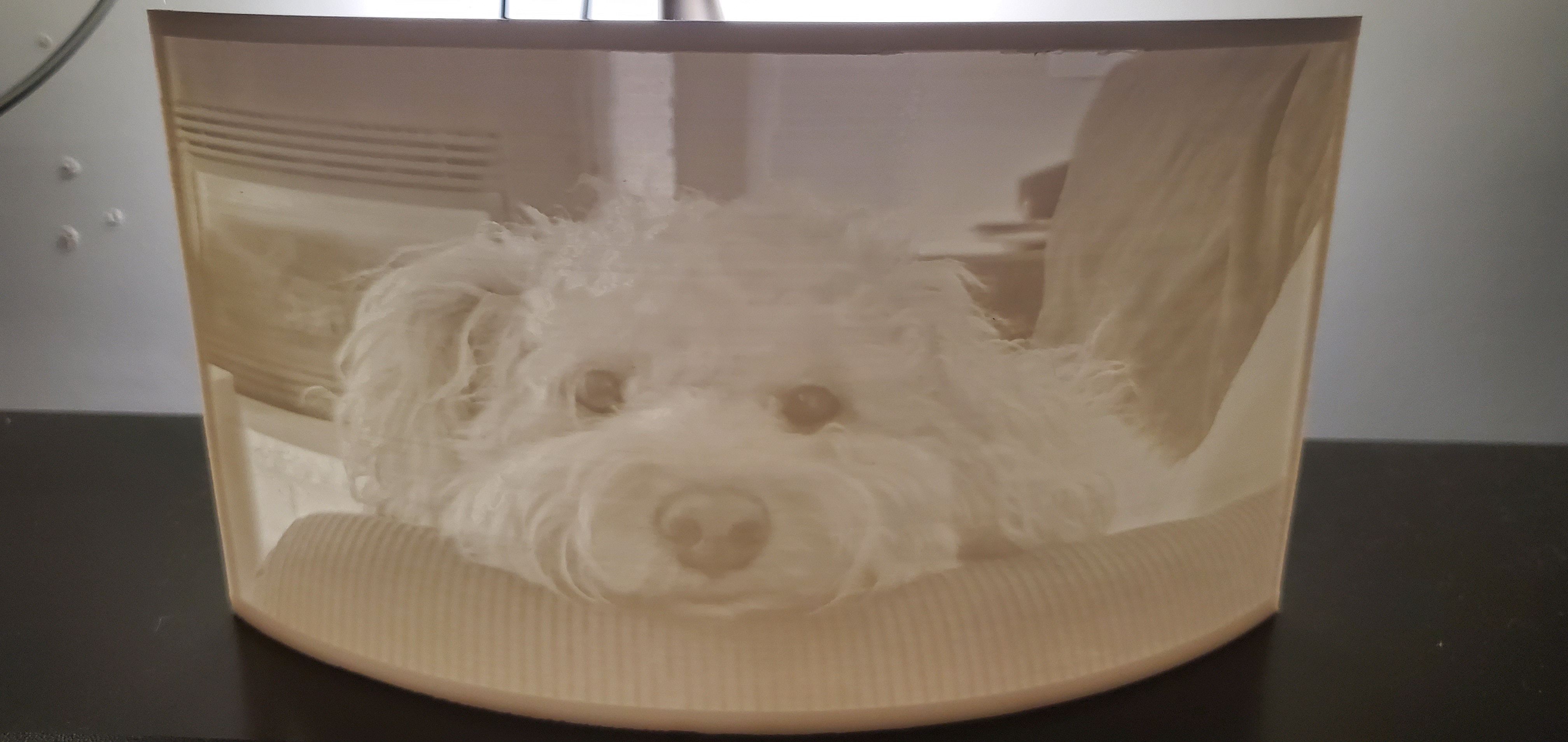 A Lithophane of my Cockapoo Ruby by Soloo | Download free STL model ...