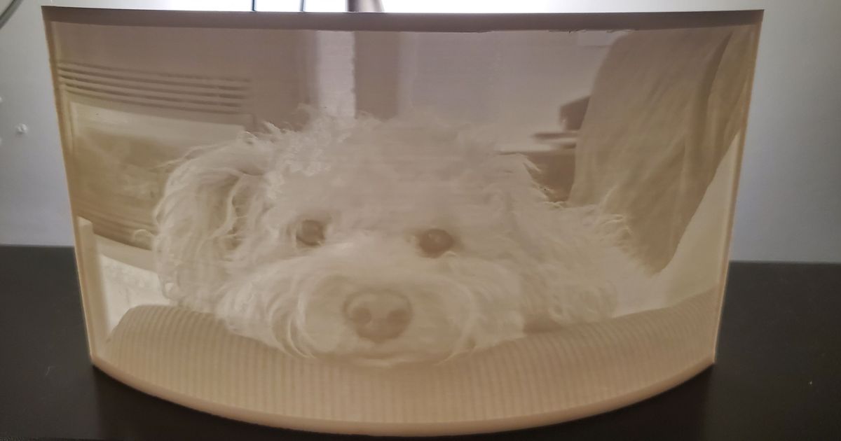 A Lithophane of my Cockapoo Ruby by Soloo | Download free STL model ...