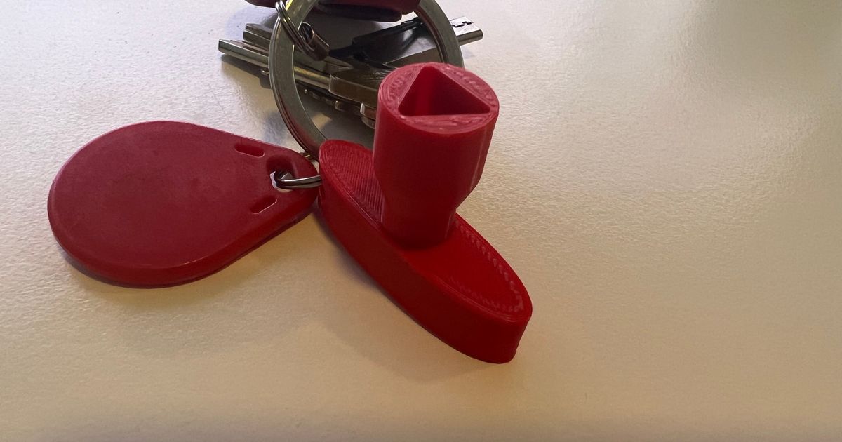 Litter Box Key (triangular) with keychain von Adrian | Kostenloses STL ...