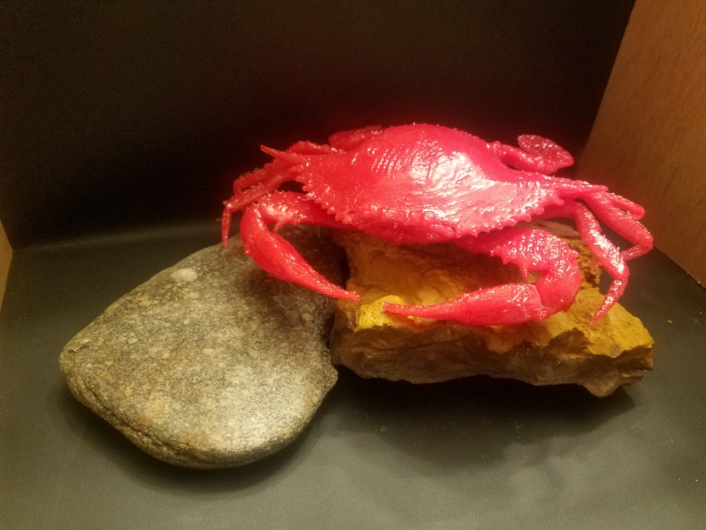 Maryland Blue Crab by electronlove | Download free STL model ...