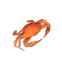 Maryland Blue Crab by electronlove | Download free STL model ...