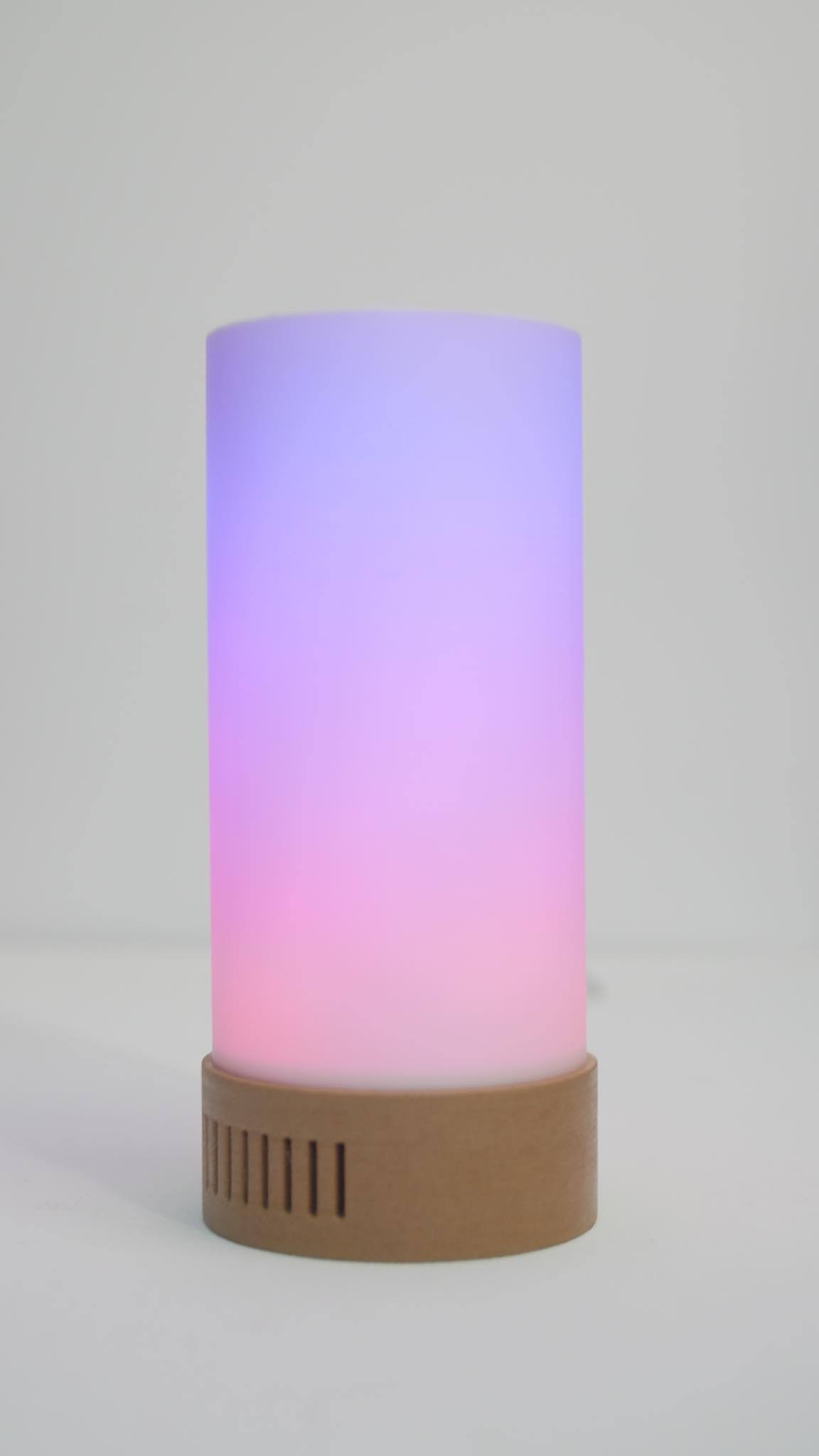 LED Mood Lamp by 3DMakerNoob | Download free STL model | Printables.com