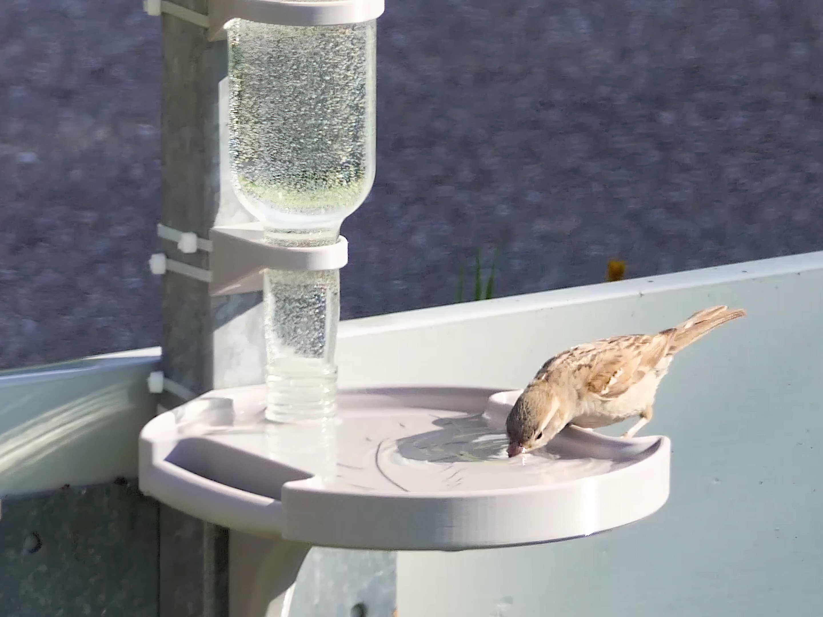 Self-Refilling Birdbath with Perch by Mattis | Download free STL model ...