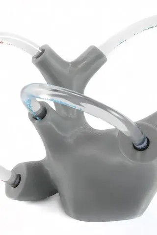Vestibular Apparatus Education Model by Vestibular First | Download ...