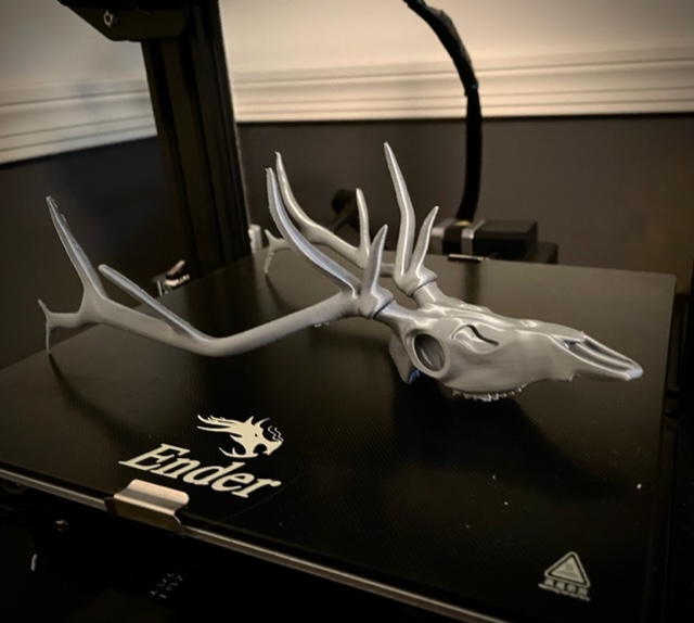 Elk Skull by MikeIEA | Download free STL model | Printables.com