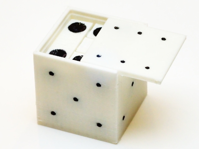 Die Puzzle by ProfHankD | Download free STL model | Printables.com
