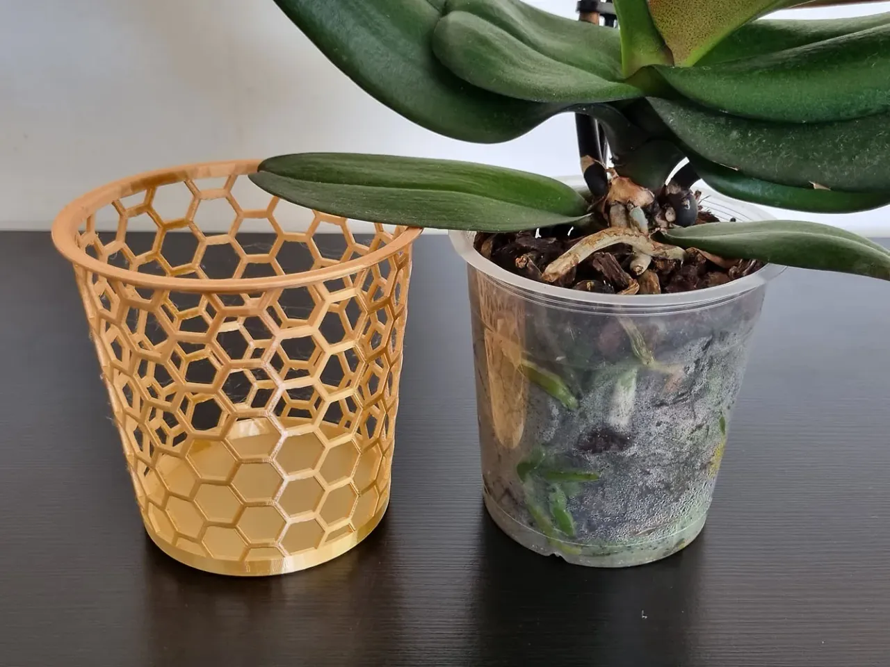 Orchid Basket for plastic pot by Alex Snigir | Download free STL model ...