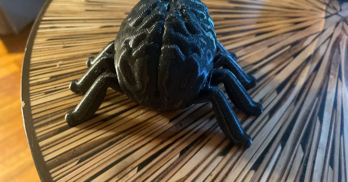 Brain Spider by sipple | Download free STL model | Printables.com