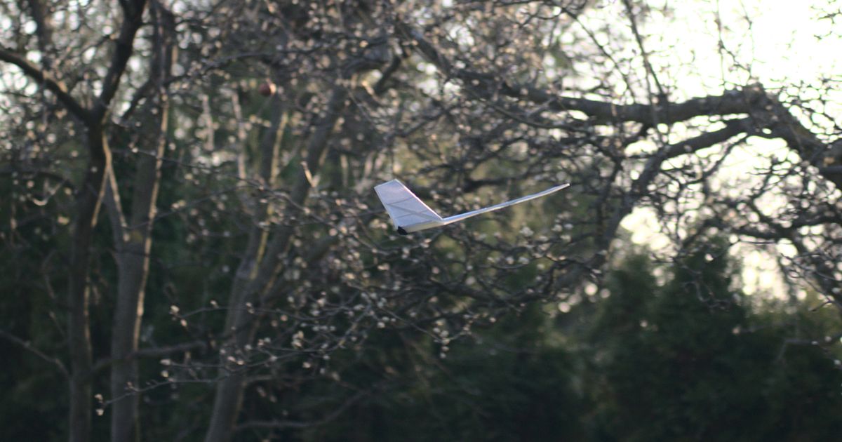 Minimalistic 3D printed flying wing by Jan Hubáček | Download free STL ...