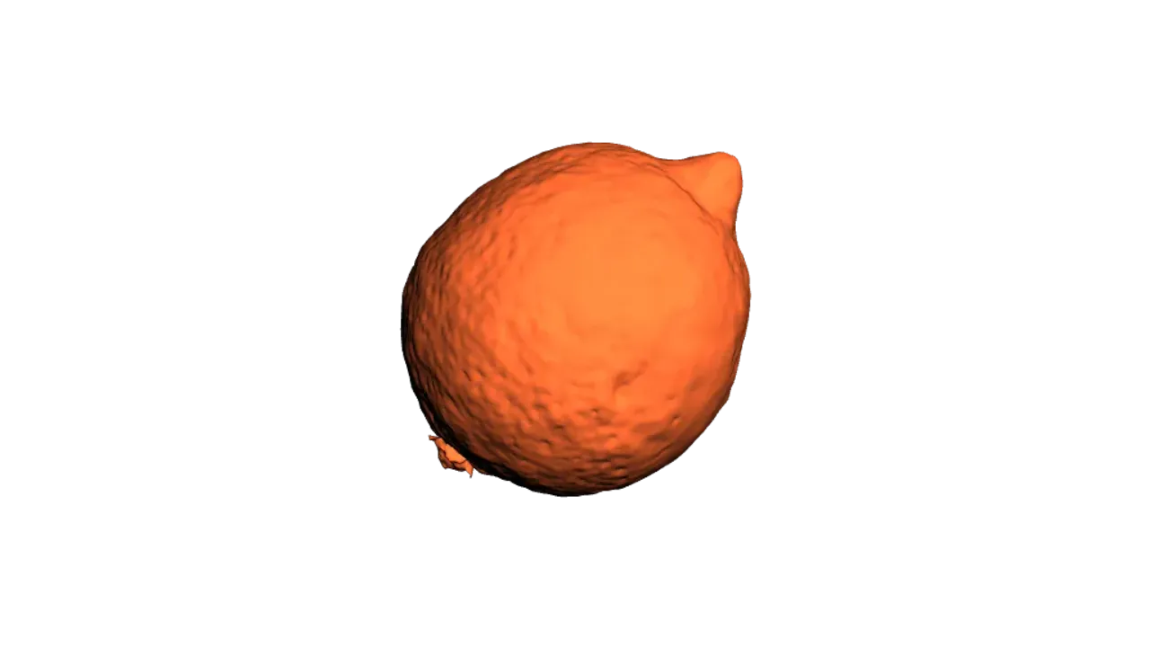 3D Lemon by DocMike | Download free STL model | Printables.com