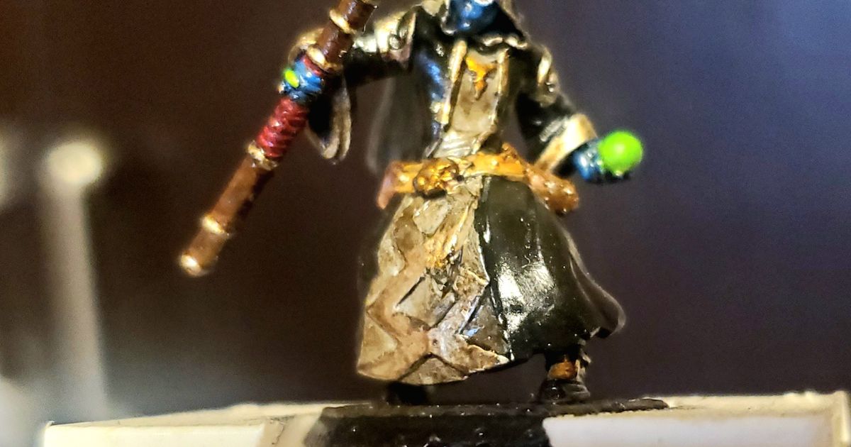 Wizard Miniature (Hero Forge) by MortarstorM | Download free STL model ...