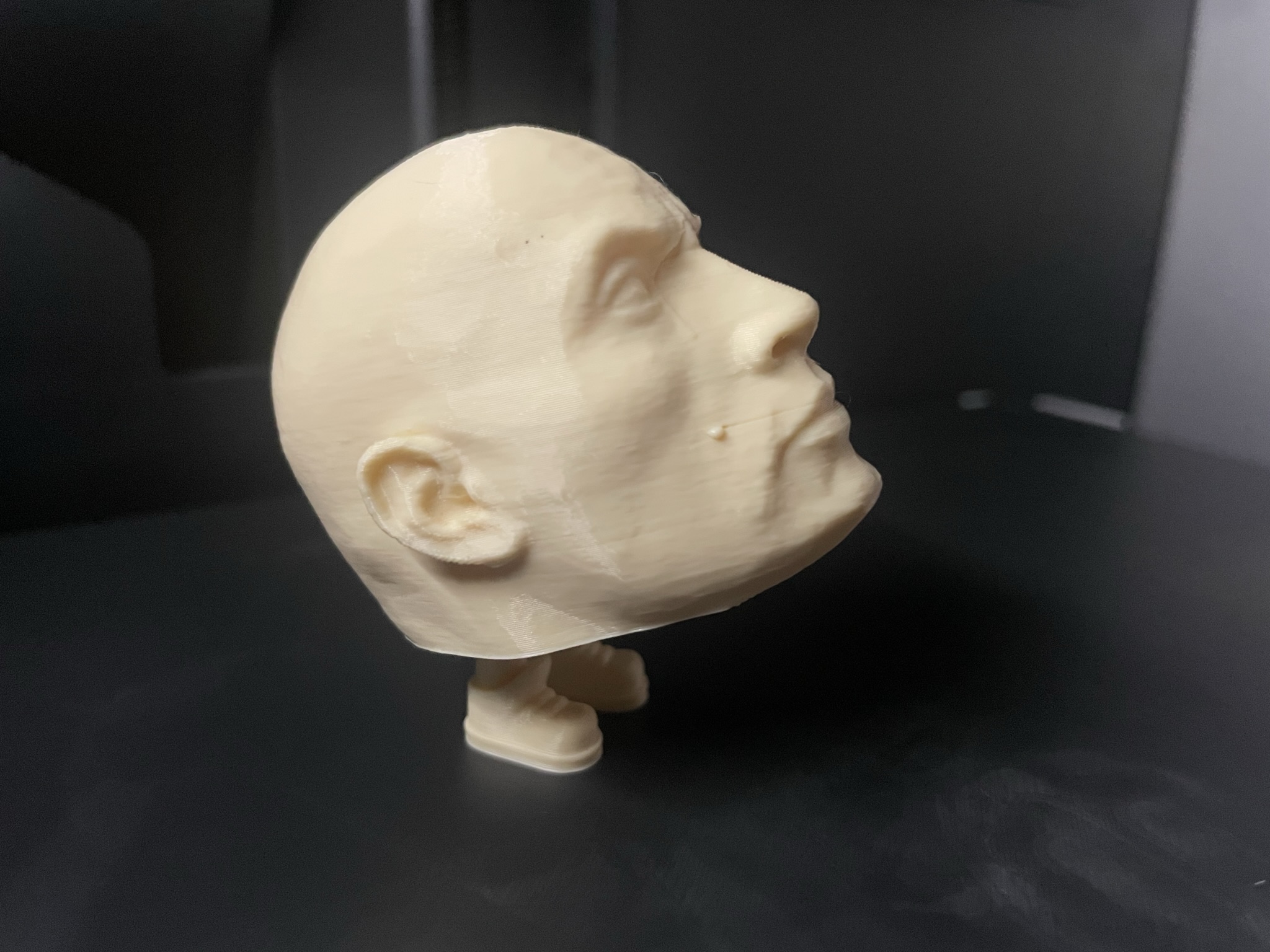 The Rock with Legs (Print in Place) by markury | Download free STL ...
