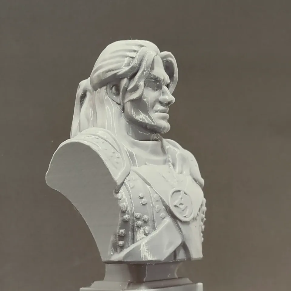 Geralt, the witcher by NEMO-MK2 | Download free STL model | Printables.com