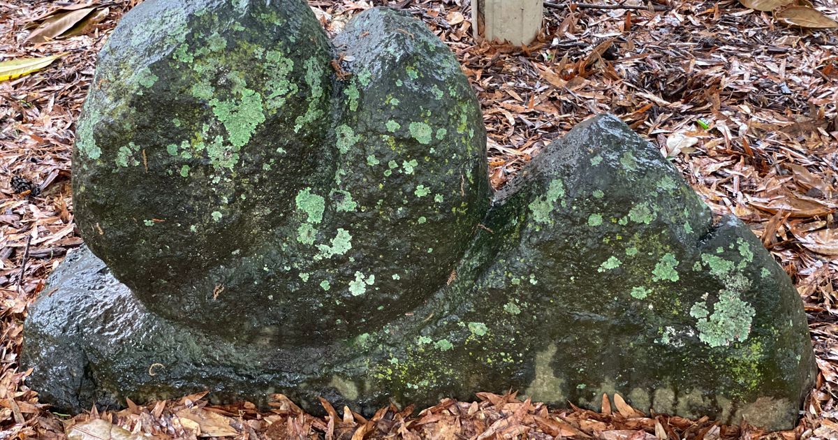 Decatur Georgia Prehistoric Steatite Boulder by Paul Aughey | Download ...