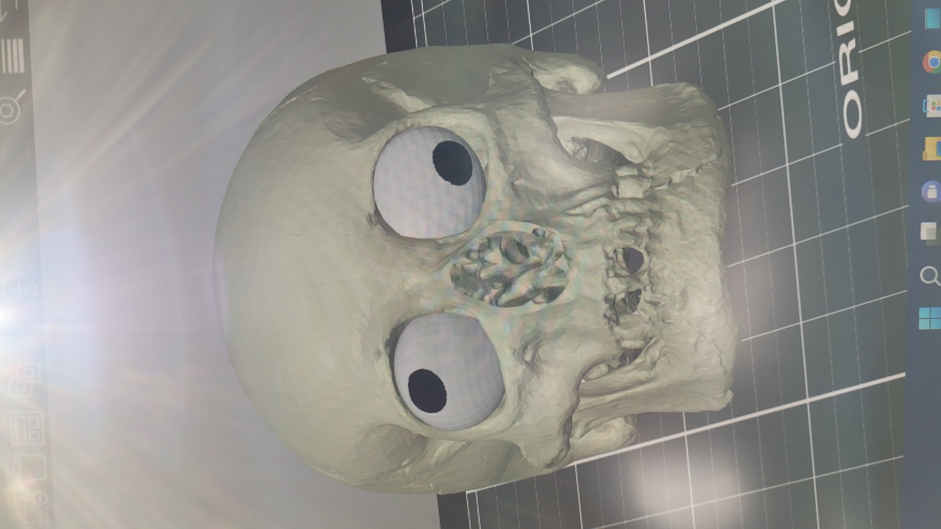 Real Skull and Funny Skull (3D scanning) by Robert-HV | Download free ...