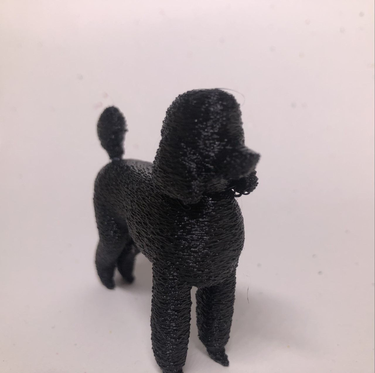 Realistic Poodle Model by FlameKitty | Download free STL model ...