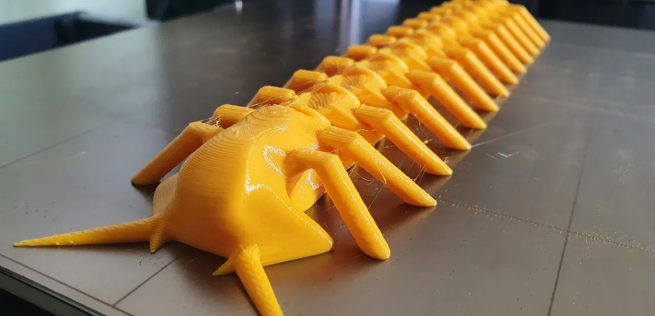 Centipede by Ezra | Download free STL model | Printables.com
