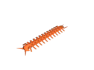 Centipede by Ezra | Download free STL model | Printables.com