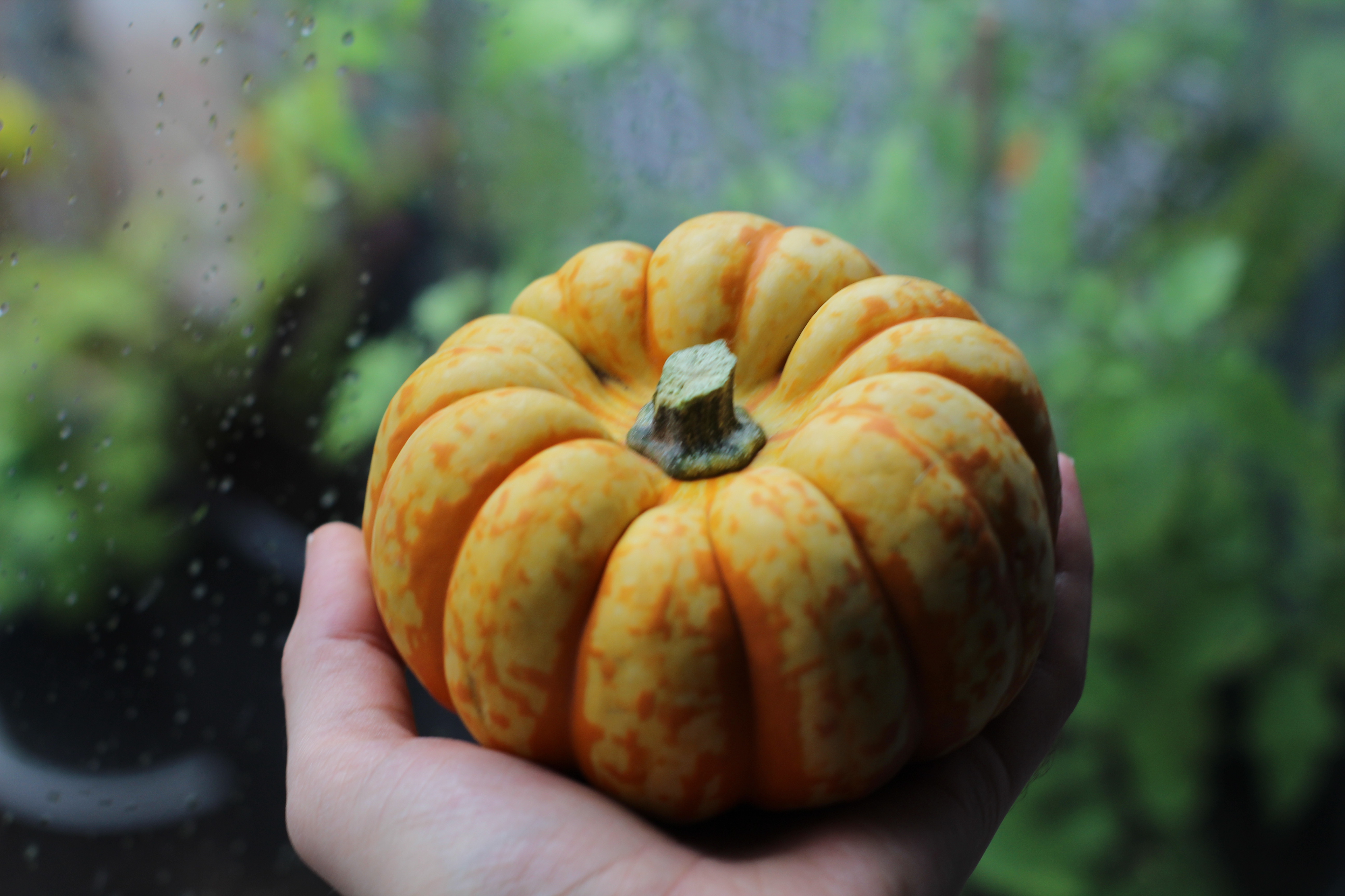 Realistic Pumpkin (3D scan) by Crafty Sven | Download free STL model ...